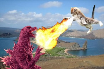 The Ultimate Battle! Godzilla Versus Cats! - Riot Daily